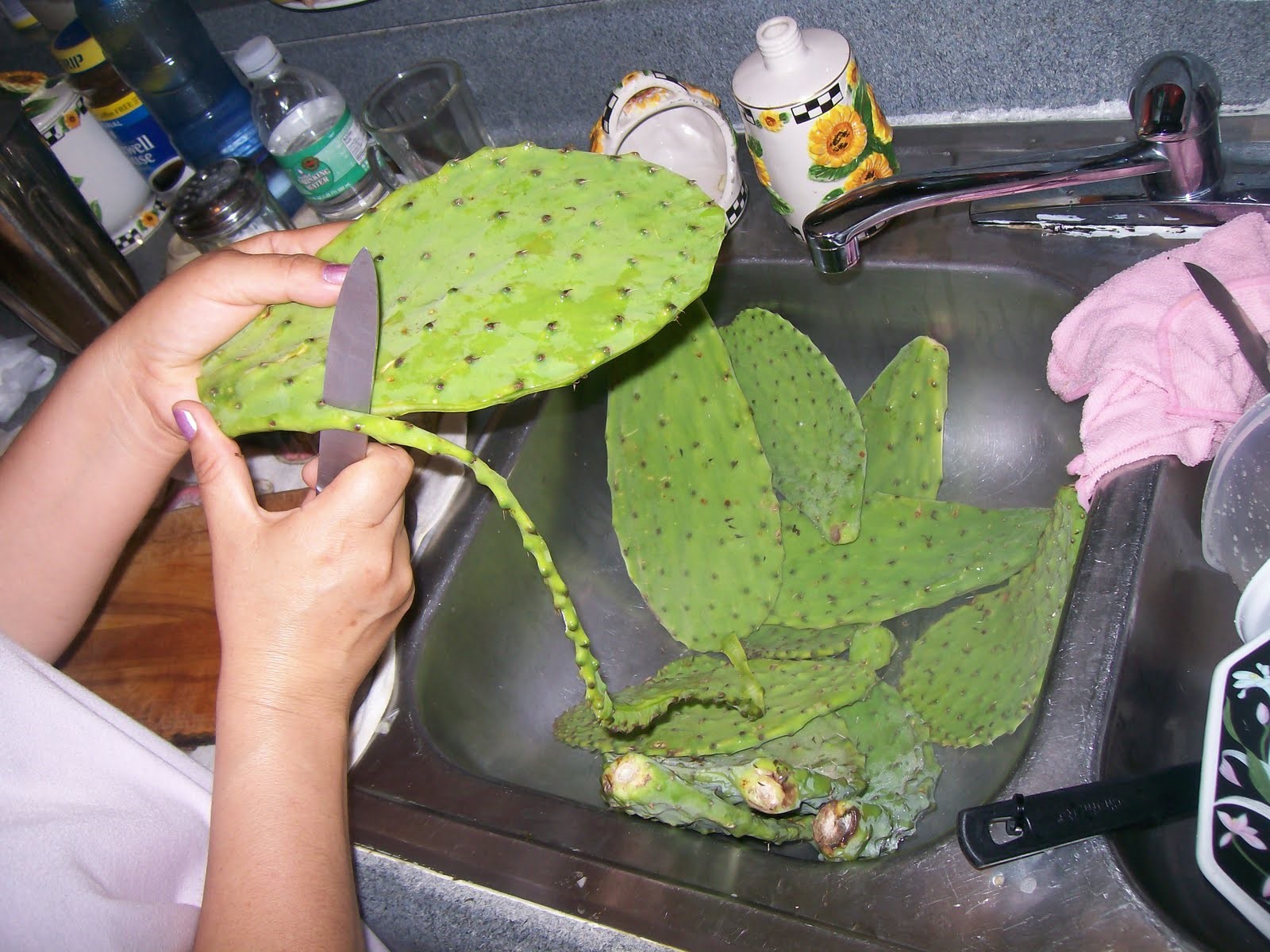 The Nopal as Food – Masa Americana