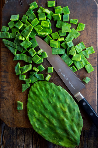 The Nopal as Food – Masa Americana