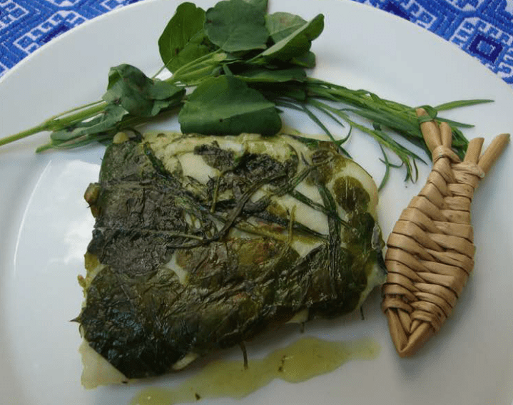 Quelite : Pápaloquelite : Porophyllum macrocephalum – Masa Americana