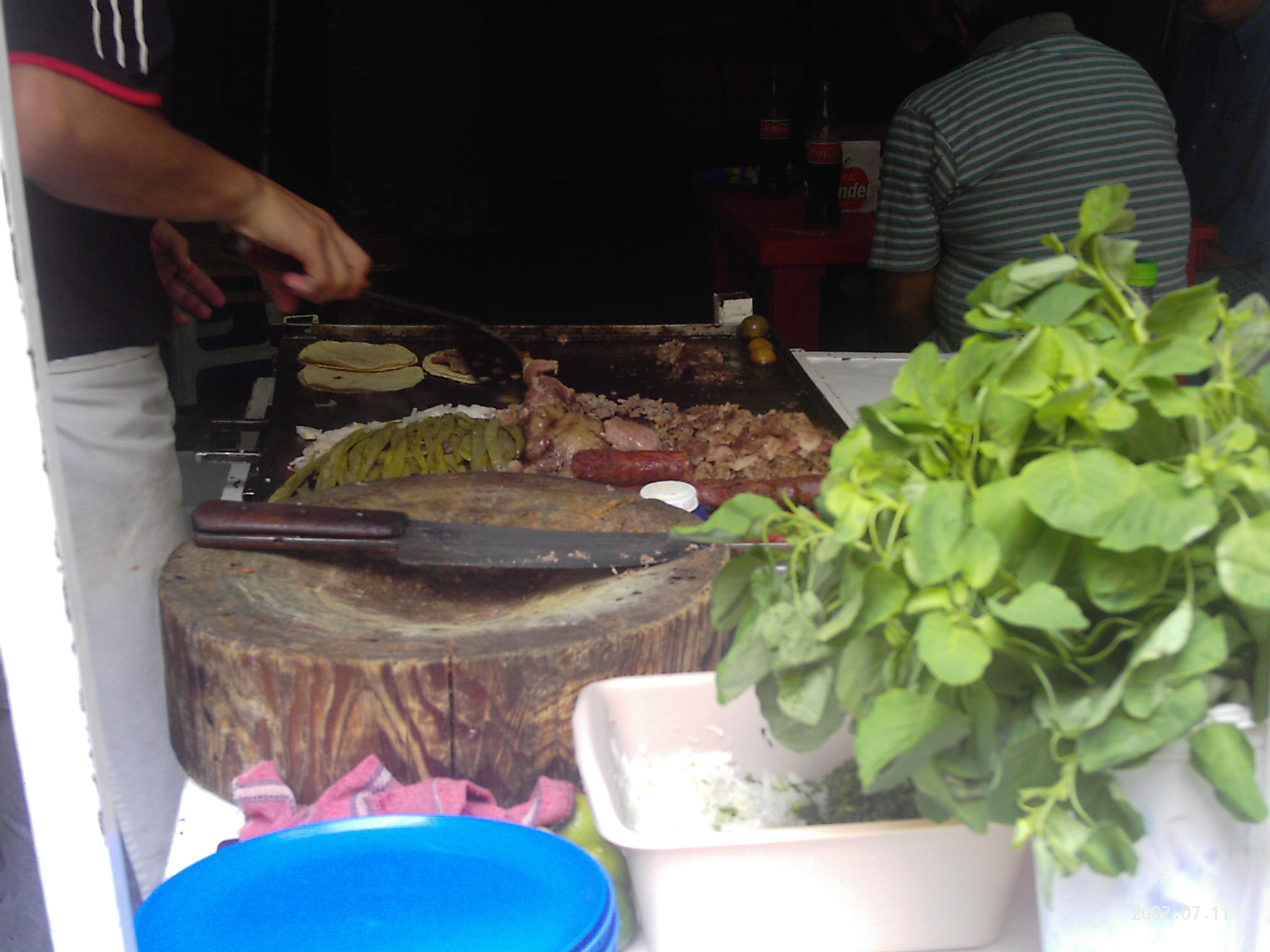 Quelite : Pápaloquelite : Porophyllum macrocephalum – Masa Americana