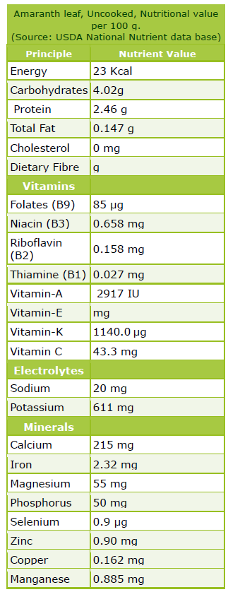 Nutritional Profile of Amaranth – Masa Americana