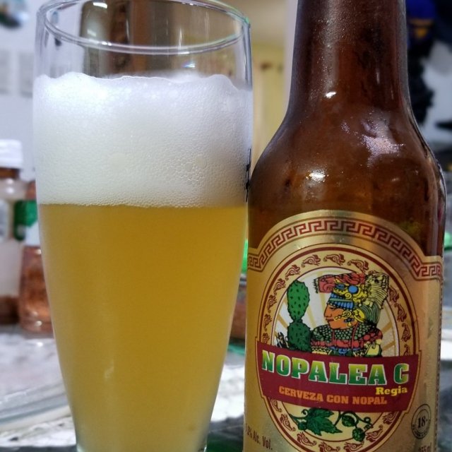 Cerveza de nopal (Nopal Beer) – Masa Americana