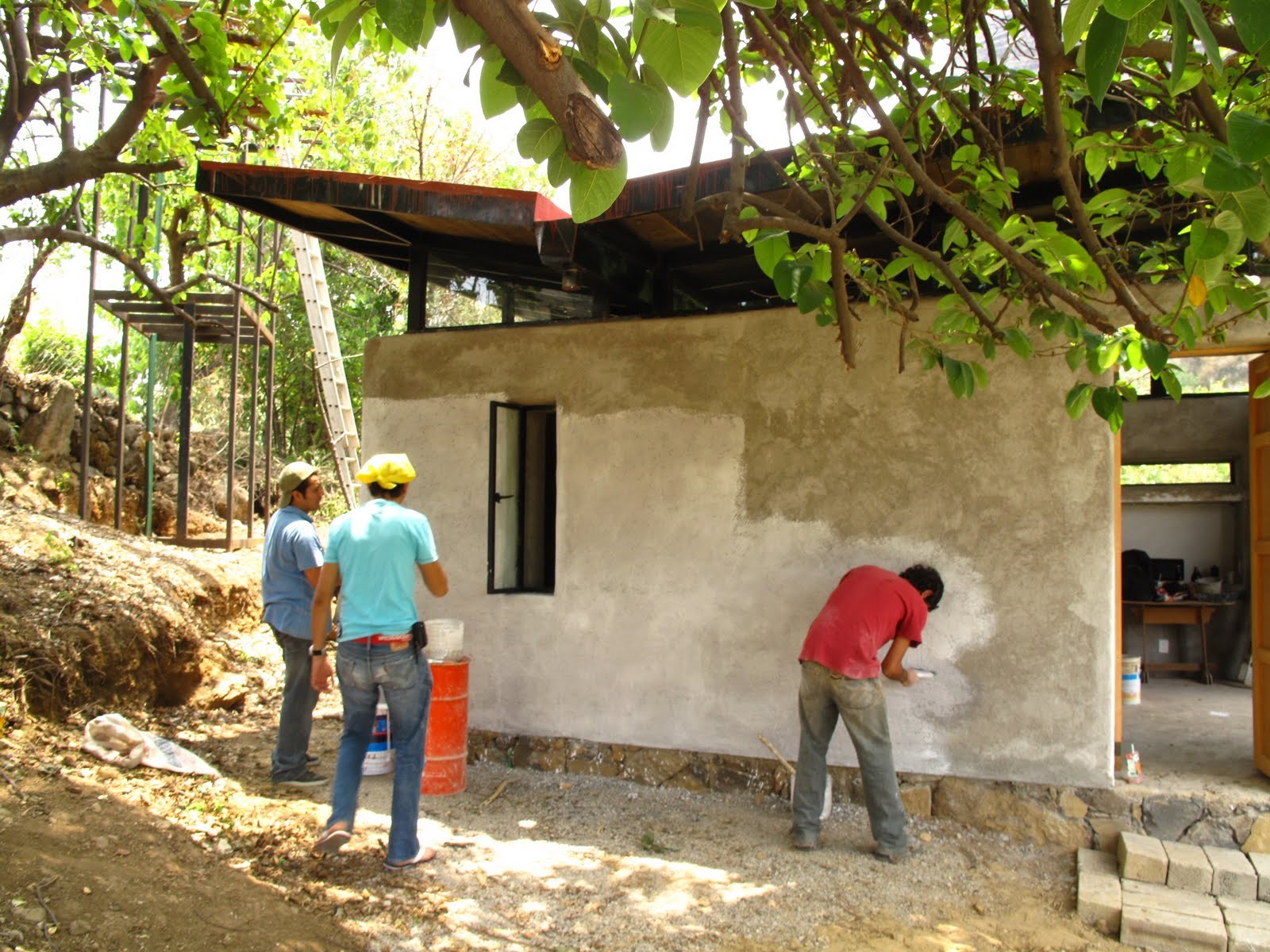 Environmentally Friendly Paint from the Nopal Cactus – Masa Americana