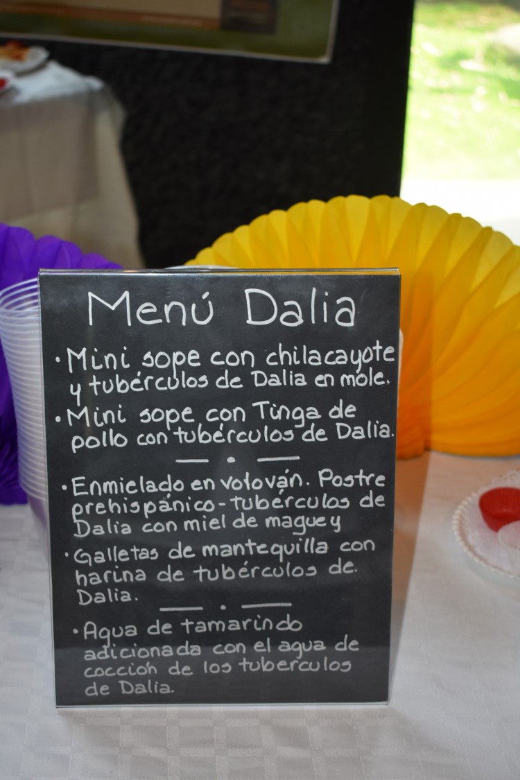 Acocoxochitl : The Dahlia – Masa Americana