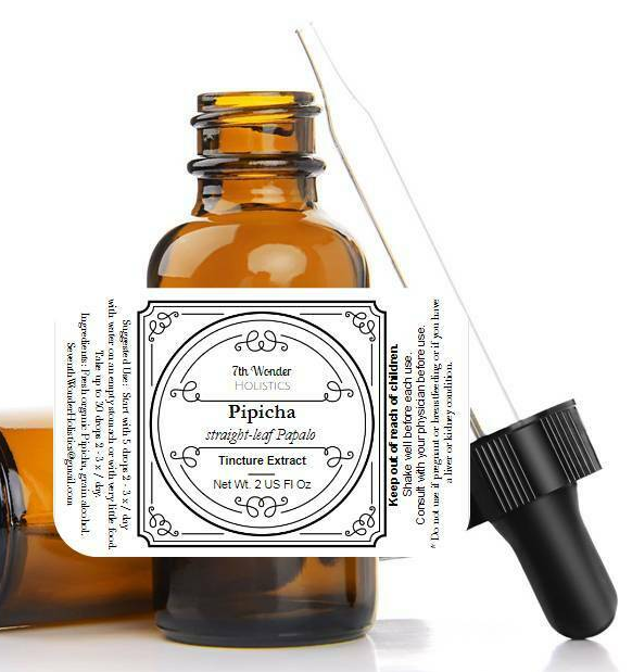 Quelite : Chepiche/Pipicha : Porophyllum tagetoides – Masa Americana