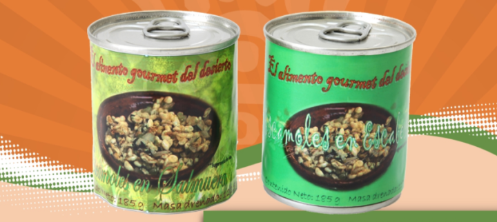 Edible Insects : Escamoles – Masa Americana