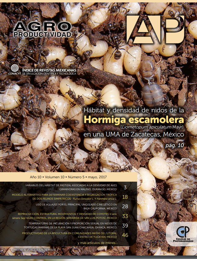 Edible Insects : Escamoles – Masa Americana