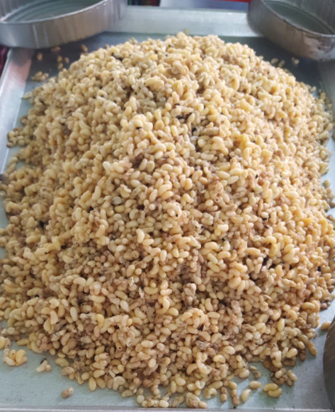 Edible Insects : Escamoles – Masa Americana