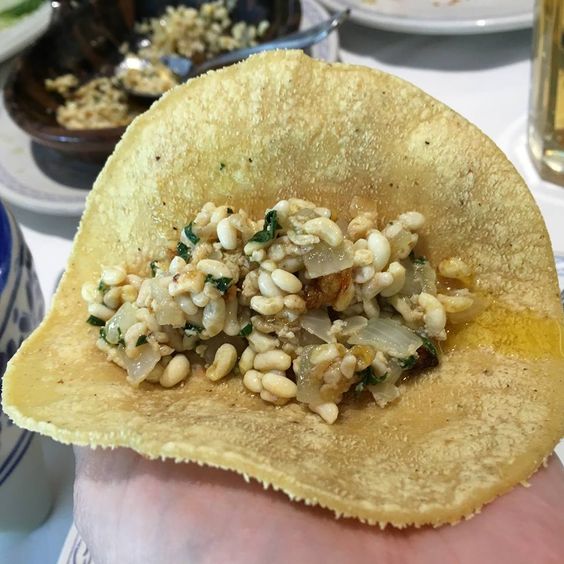 Edible Insects : Escamoles – Masa Americana