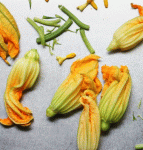 Quelite : Chepiche/Pipicha : Porophyllum tagetoides – Masa Americana