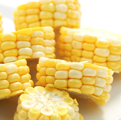 Quelite : Chepiche/Pipicha : Porophyllum tagetoides – Masa Americana