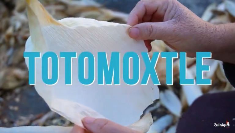 Totomoxtle (and the Tamal) – Masa Americana